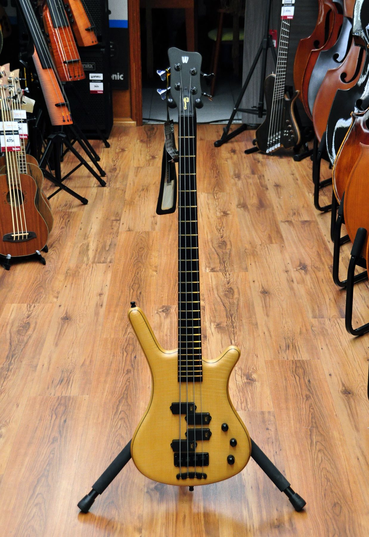 Electrics | bass, electric bass, luthier, online shop | DoctorBass